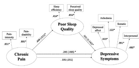 Structure Equation Modeling With The Standardized Unstandardized