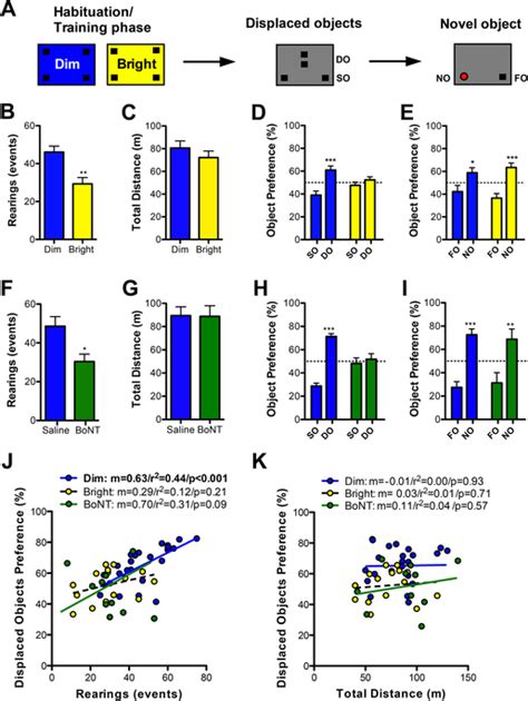 Exploratory Rearing Promotes Spatial Learning A Diagram Showing