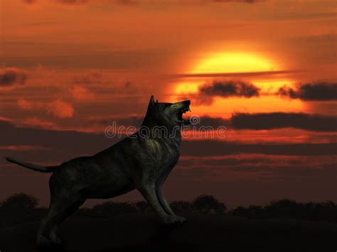 The Wolf On Sunset Stock Illustration Illustration Of Mammal 18099181