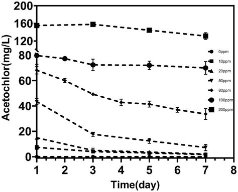 一种降解乙草胺的气味沙雷氏菌及含有该菌株的土壤生物修复菌剂