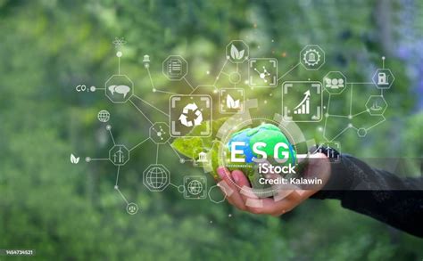 Esg 개념 자연과 기술의 만남 녹색 에너지 Co2 순 제로 배출 탄소 중립 개념 세계적인에 대한 스톡 사진 및 기타 이미지