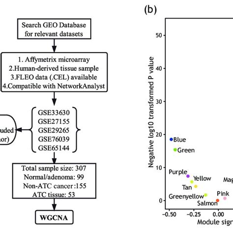 Module Detection Based On Wgcna A Data Retrieval Process For Wgcna Download Scientific