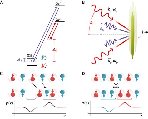 Spin Charge Separation In A One Dimensional Fermi Gas With Tunable Interactions Science