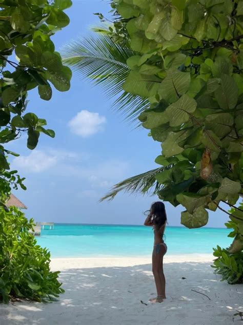 Maldives Maldives Summer Beach Beach