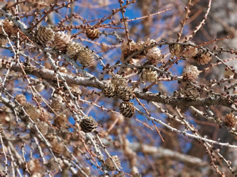 Nackte 이미지 찾아보기 1 351 스톡 사진 벡터 및 비디오 Adobe Stock
