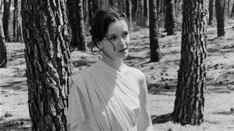 The Vineyard Red Desert Films