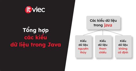 Các kiểu dữ liệu trong Java A Z Định nghĩa và Cách sử dụng ITviec Blog