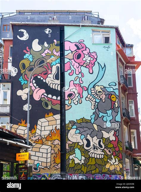 Mural Bones And Innards By Cins Murals In Istanbul Street Art Mural