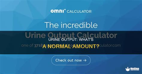 Urine Output Whats A Normal Amount Medshun Urine Output Whats A Normal Amount Medshun