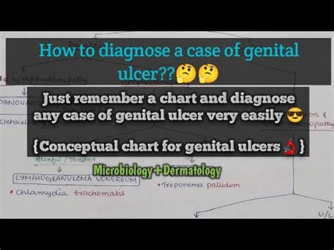 Genital Ulcers Microbiology Dermatology Diagnose Any Case Of Genital Ulcer Easy Concept