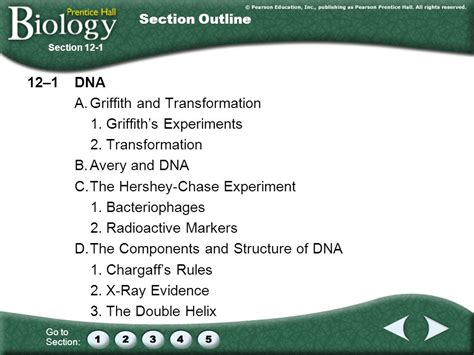 Free 12 1 Dna Worksheet Answers Download Free 12 1 Dna Worksheet Answers Png Images Free