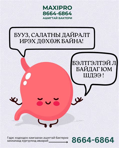 Ашигтай Заа бууз салатны их дайралт эхлэхэд хэдхэн хоног үлджээ 😜 Гэдэс ходоодоо бэлдээд л