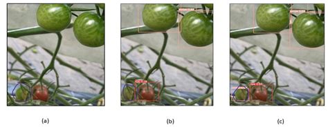 Cam Yolo Tomato Detection And Classification Based On Improved Yolov5 Using Combining Attention