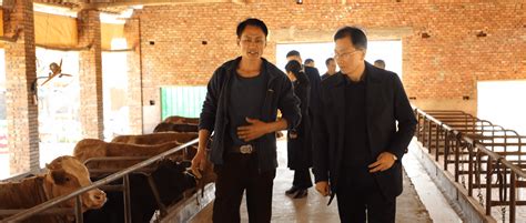 工作调研国家统计局萍乡调查队到我镇开展一季度统计工作调研 养殖 屈章勤 情况