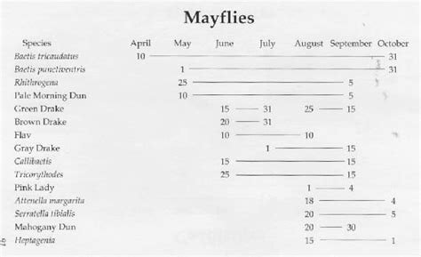 Yellowstone Fly Fishing Mayflies Chart