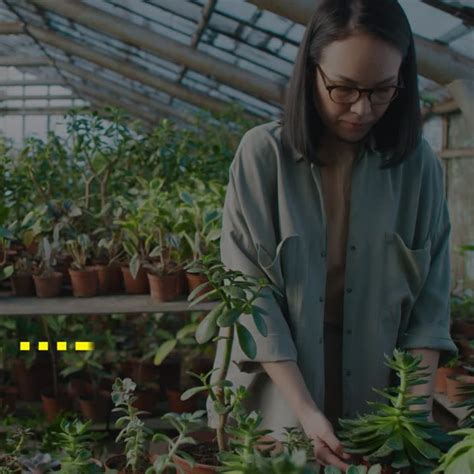 Ey Ecosystems On Linkedin Ey And Microsoft Sustainability