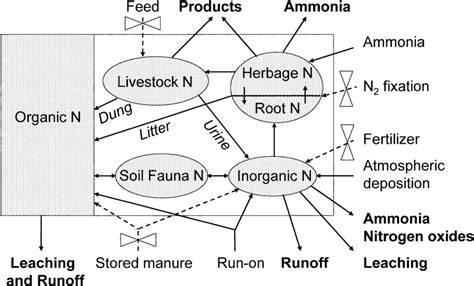 Schematic N Cycle Showing Inputs Outputs Bold Faced And Download Scientific Diagram
