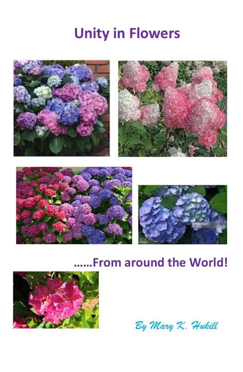 Unity In Flowersfrom Around The World Magazine
