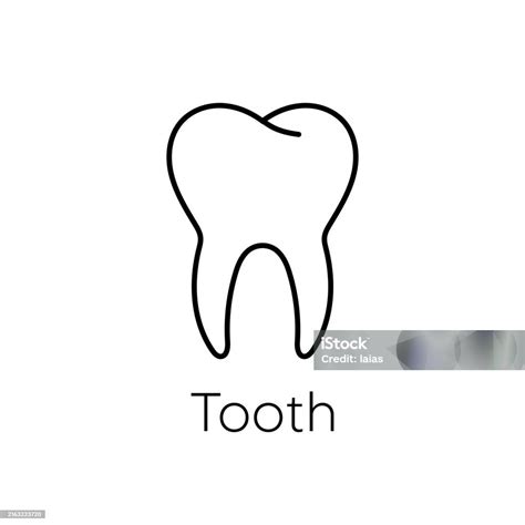 치아 선 아이콘은 흰색 배경에 격리되어 있습니다 치과 기호입니다 벡터 일러스트 레이 션 건강관리와 의술에 대한 스톡 벡터 아트