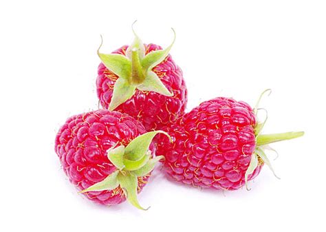 Raspberry Color Background Images Hd Pictures And Wallpaper For Free