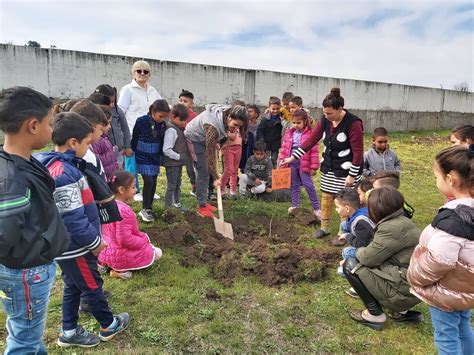 Сърдечно благодарим на Гората бг за предоставените фиданки В пет поредни дни деца учители и