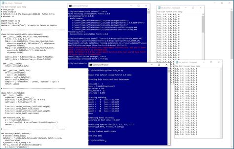 Pytorch190irisdemo James D Mccaffrey