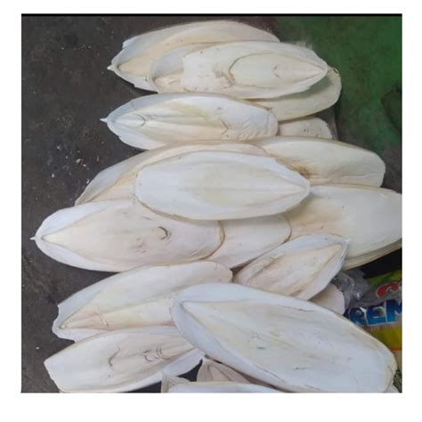 Buy Dried Cuttefish Bone Wholesales From Hang Xanh Company Limited