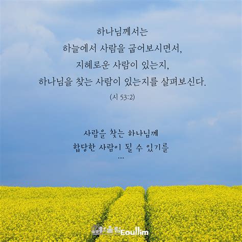 솔공동체 어울림 하나님께서는 하늘에서 사람을 굽어보시면서 지혜로운 사람이 있는지 하나님을