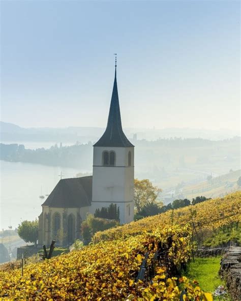 가을 바람2 이해인 수녀님의 시 네이버 블로그