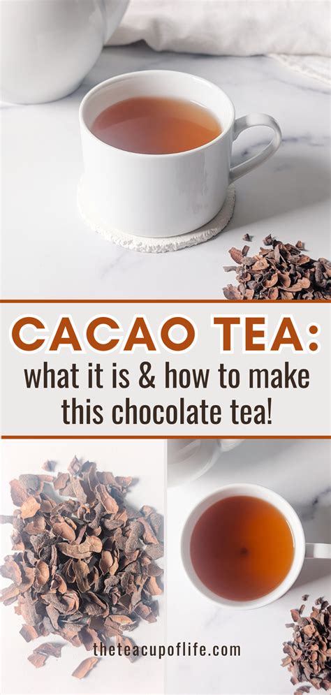 Cacao Tea What It Is And How To Make It Recipe How To Make Cacao