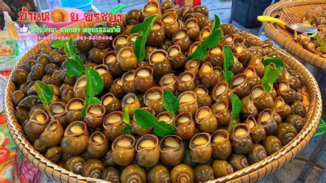 💥 พ ร้ อ ม ส่ ง คั ด ไซส์ หอยโข่งนา ราคาส่ง หอยธรรมชาติ