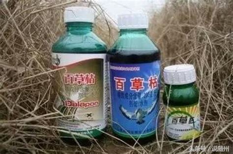 隨州農村常見的農藥一種被喝到禁售還有一種卻常被用來藥魚 每日頭條