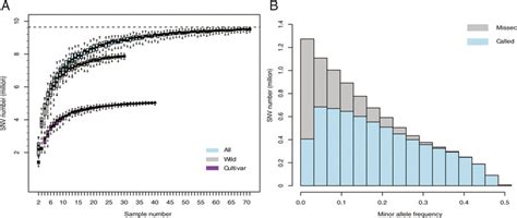 Detection Of Single Nucleotide Variations In Sequencing Soybean Download Scientific Diagram
