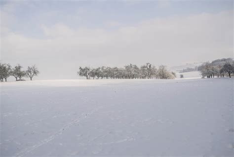 картинки снег холодно зима Погода Замороженный время года Зимний пейзаж метель Трасса