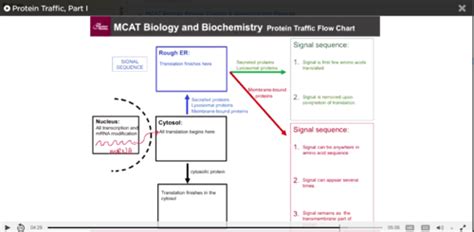 Biology Cell Biology Flashcards Quizlet
