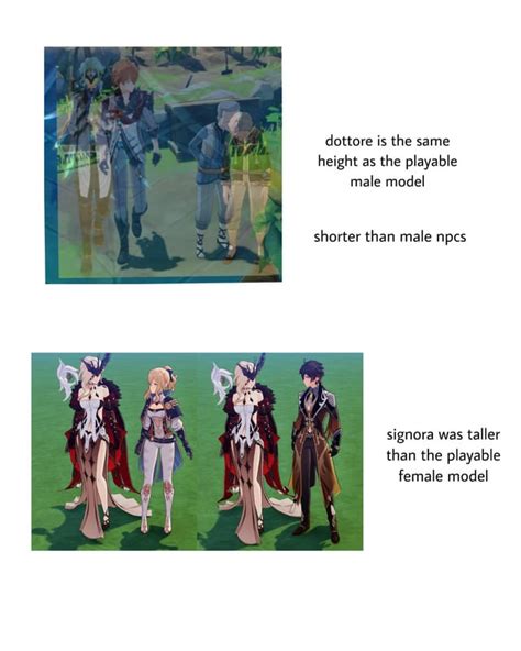 Omega Build Dottore Might Be Using The Playable Model R Genshin Impact