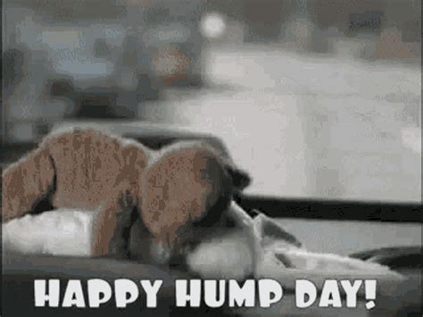 Happy Hump Day Toy  Happy Hump Day Toy Sex Discover And Share S
