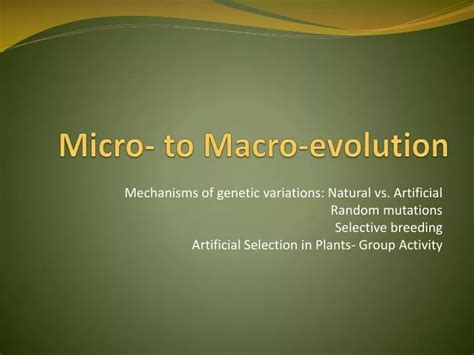 Ppt Micro To Macro Evolution Powerpoint Presentation Free Download Id2248281