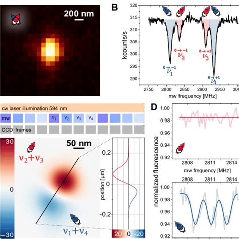 Sub Diffraction Limit Imaging Of Nv Centers By Storm A From Left To Download Scientific