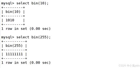 【mysql篇】mysql内置函数 mysql 年月日时分秒 csdn博客