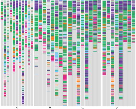 Scarf Plot Of All Participants By Participant Group For One Stimulus