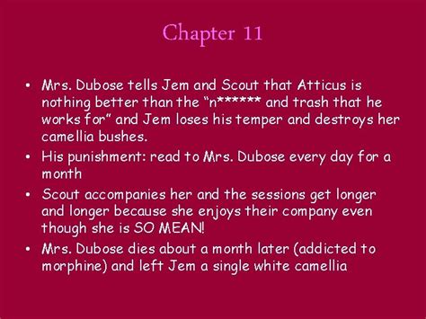 To Kill A Mockingbird Chapterbychapter Notes Chapter 1