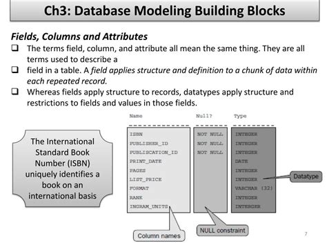 Ppt Chapter 3 Database Modeling Building Blocks Powerpoint Presentation Id2761140
