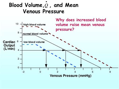 Ppt Mean Arterial And Venous Pressure And Cardiac Output Powerpoint