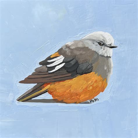 Red Rumped Bush Tyrant Danbooru