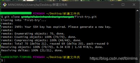 Git 远程仓库gitlabyour Ssh Key Is Expiring Soon Please Generate A N Csdn博客