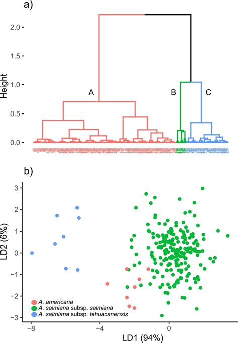 Fruit Dataset 1 A Dendrogram Derived From The Hierarchical Clustering Download Scientific