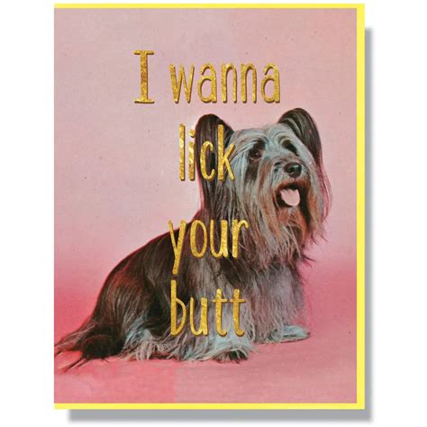 I Wanna Lick Your Butt Card Smitten Kitten Outer Layer