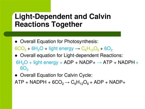 Light Independent Reaction Equation