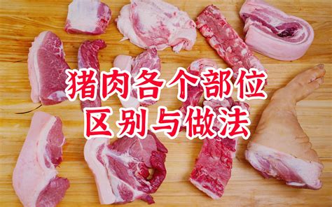 猪的哪个部位适合做什么菜，一个视频讲清楚 万能工具人阿伟 万能工具人阿伟 哔哩哔哩视频